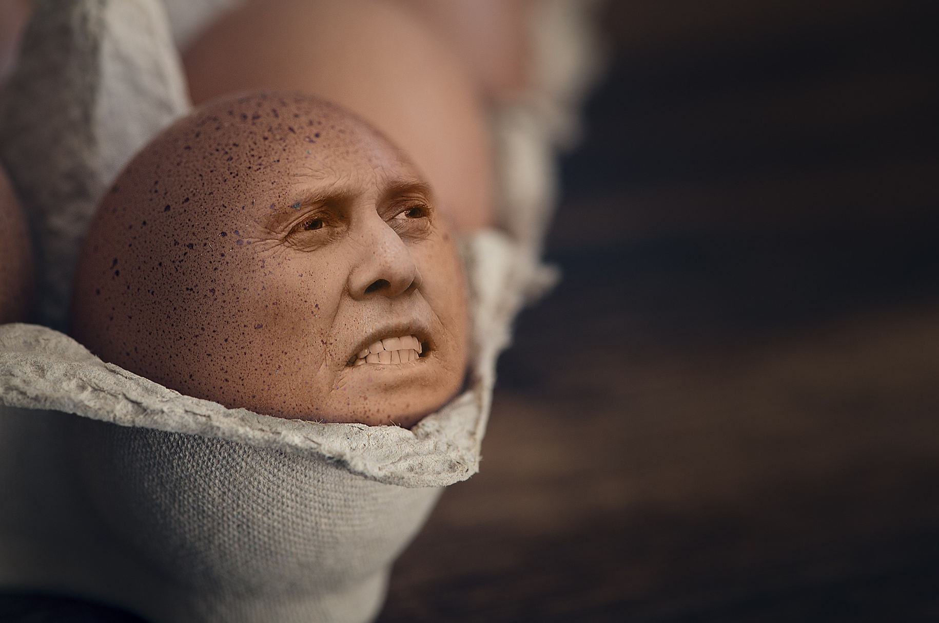 An Egg Story About You And You Just Don t Know It Yet Screeble